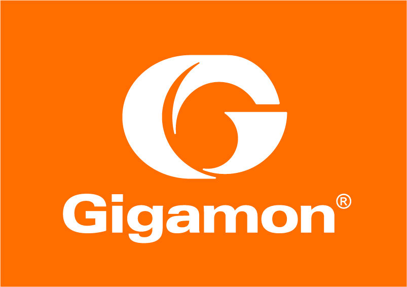 Gigamon - Cybersecurity Excellence Awards Gigamon - Cybersecurity Excellence Awards